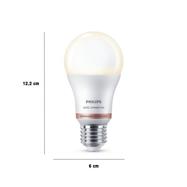 Lâmpada LED Inteligente A60 8W - 60W E27 2700K-6500K Wifi Wiz | leonleds.com