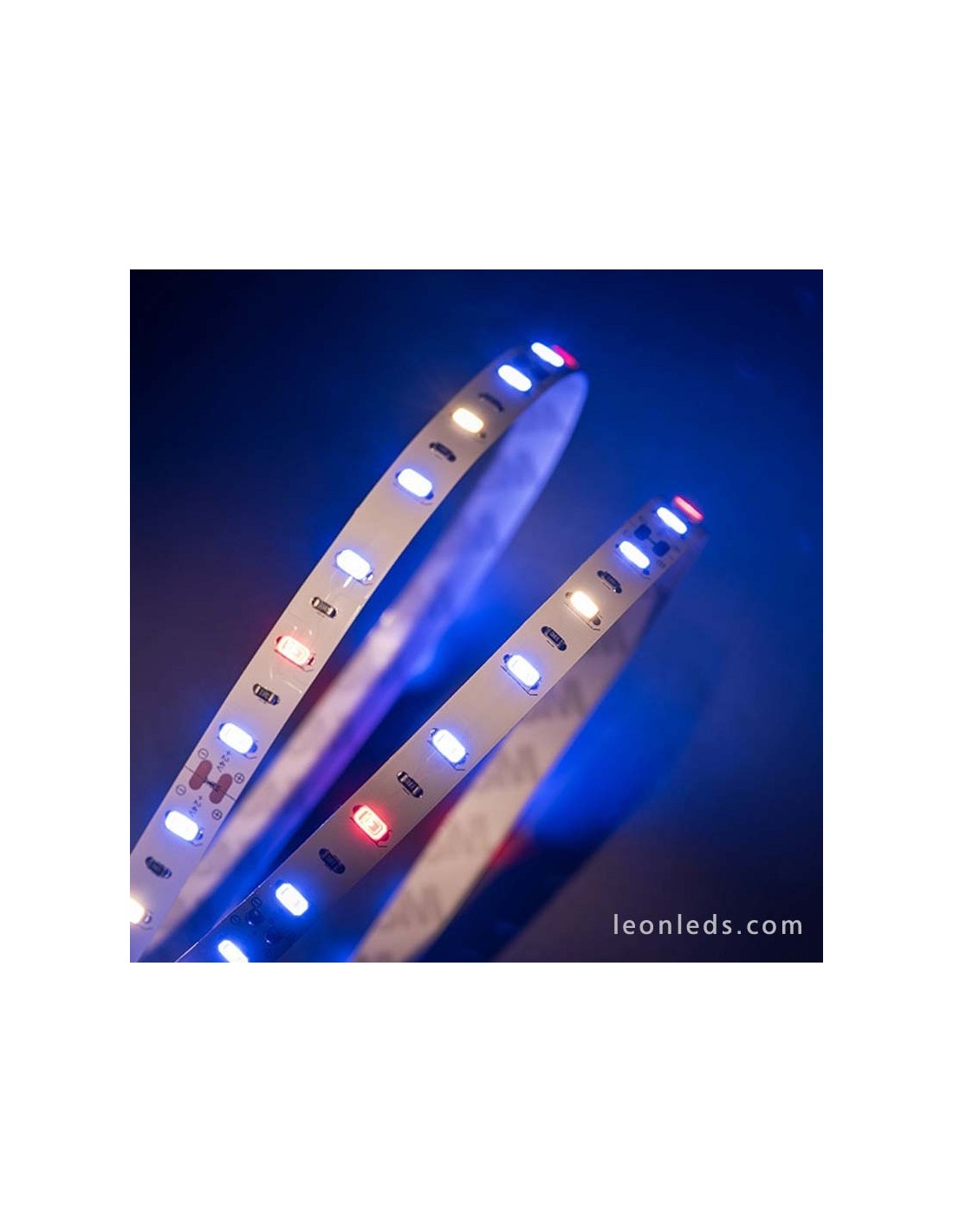 Tiras de LED | Interior & Exterior · Baratas | LeonLEDs